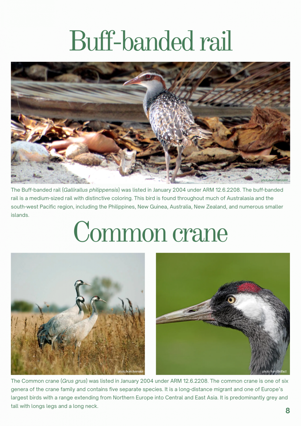 Montana Controlled Species Guide | Don't Let It Loose