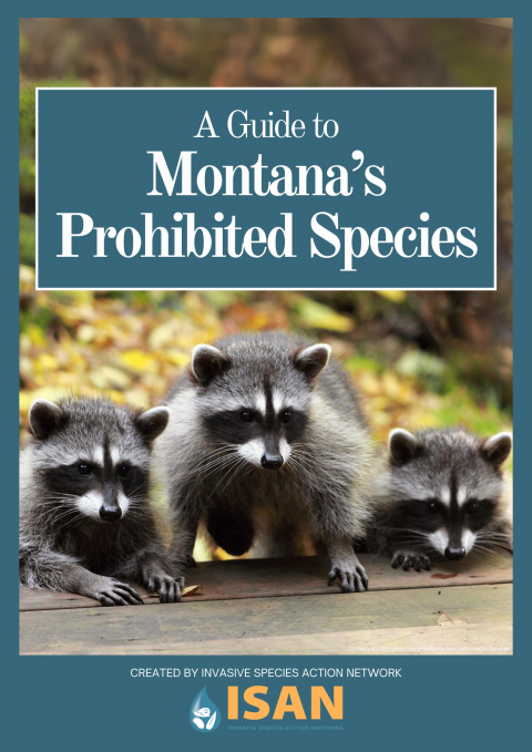 Pet Regulations in Montana | Don't Let It Loose